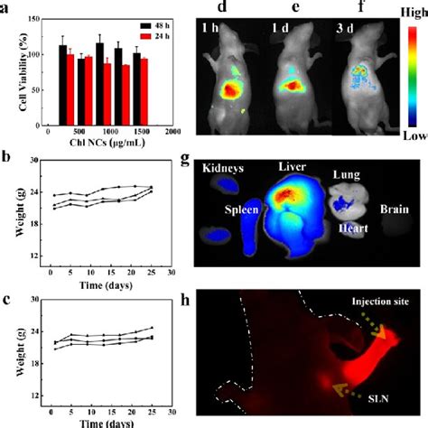 A MTT Assay On EJ Cells Exposed To Chl NCs At Different Download Scientific Diagram
