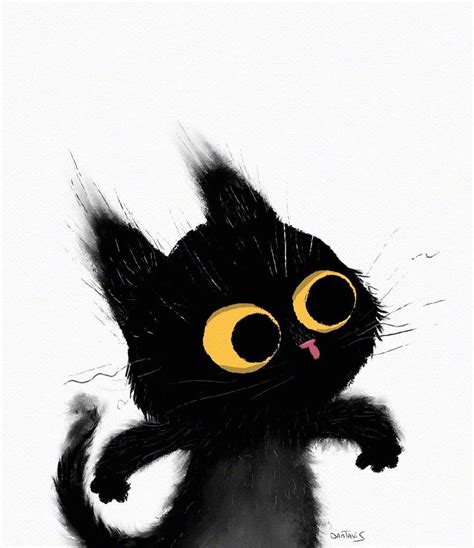 欢乐炸毛小黑猫 ins Dan Tavis 堆糖美图壁纸兴趣社区