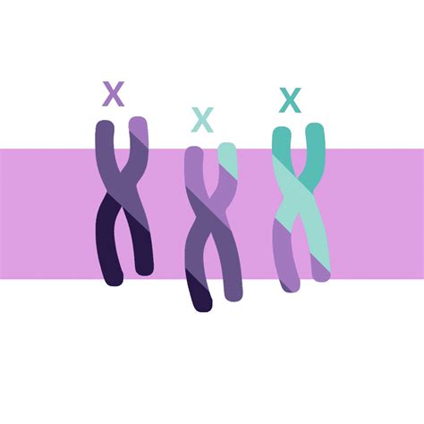 Trisomías Cromosomas Sexuales