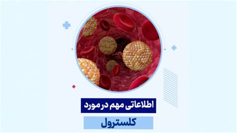 اطلاعاتی مهم در رابطه با کلسترول