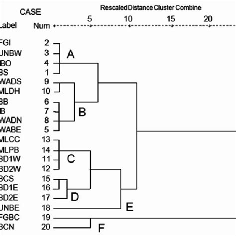 Dendrogram Using Average Linkage Between Groups From Hierarchical