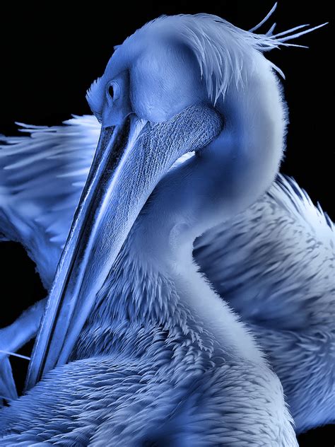 Kleine Pause Thierry Dufour Als Kunstdruck Oder Gemälde