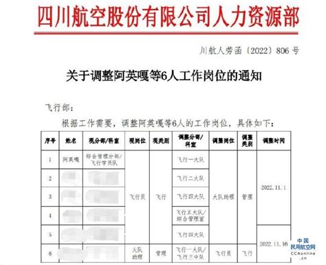 网曝被川航停职的飞行员被调整为管理岗 民用航空网