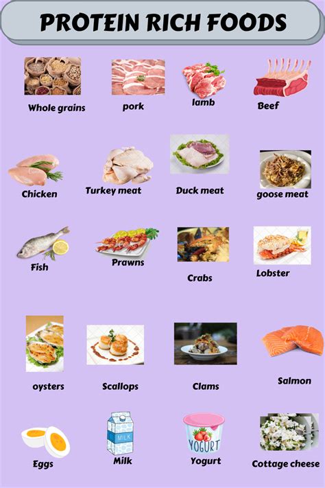 Top Protein Rich Foods Artofit