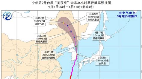 歷史罕見！中國東北一周內迎來第二個強勁颱風 美莎克 巴威 颱風 中國東北 希望之聲