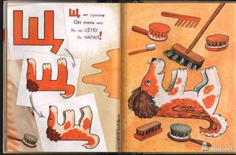Ghim Của Екатерина Trên алфавит