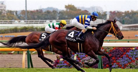 丹下日出夫のズバッと！：東京11r・早春s 毎日新聞