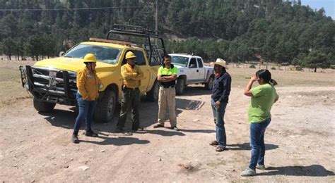 Emite Cepc Recomendaciones Para Prevenir Incendios Forestales