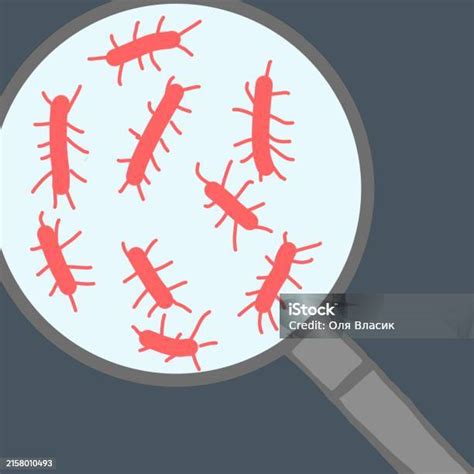 Escherichia Coli Under The Microscope Stock Illustration Download