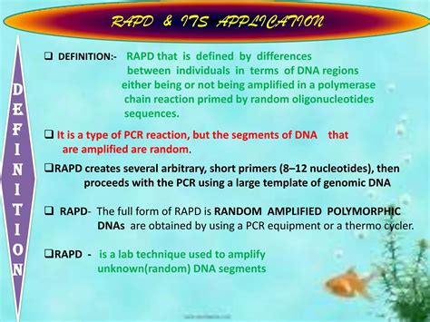 Rapd Ppt Ppt Free Download