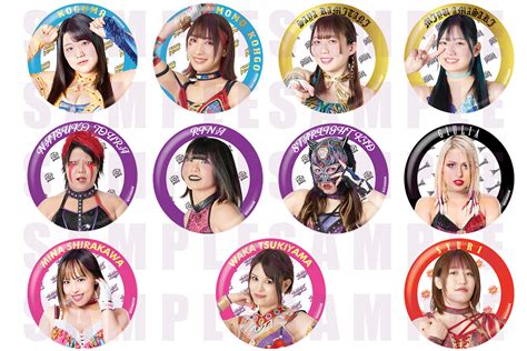 スターダム Stardom On Twitter 🚩新商品情報🚩 『トレーディング 缶バッジ 2023 C』が 4・14東京・後楽園ホール