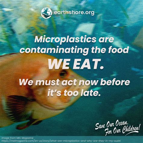 Microplastics Understanding Their Impact On Health And The Environment Global Earthshore Movement