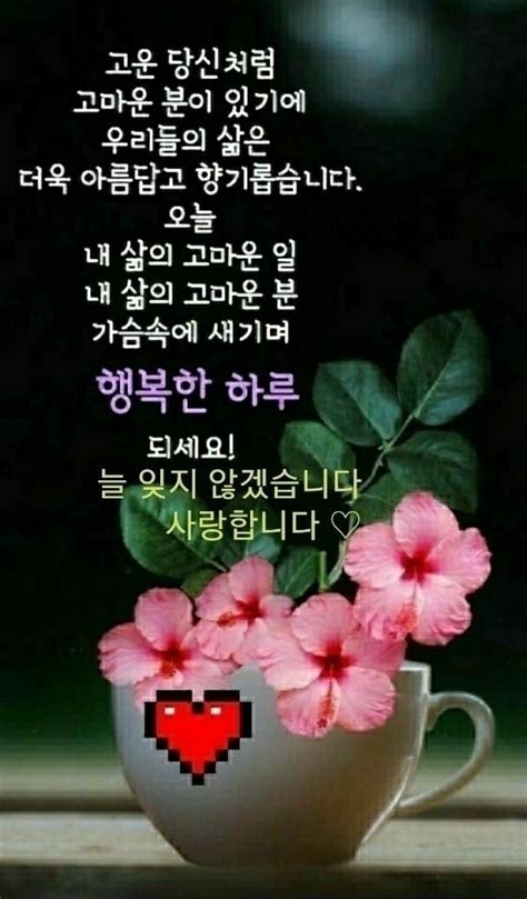 Daum 카페