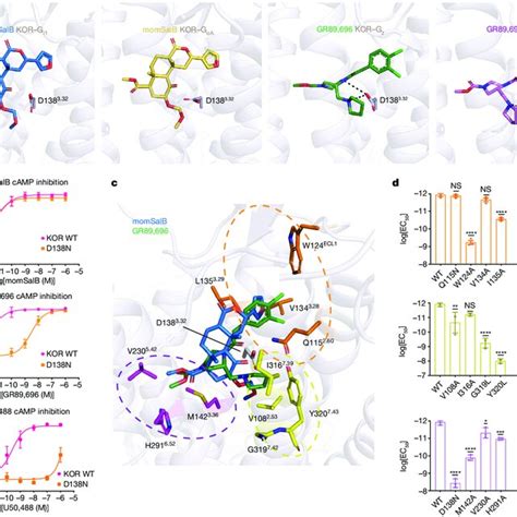 Ligand Specific Interactions With Kor A The Binding Poses Of