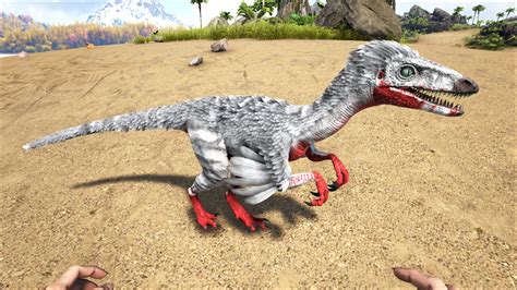 Troodon Official Ark Survival Evolved Wiki
