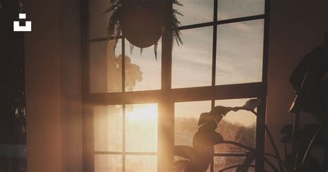 집의 창문을 통해 태양이 빛나고 있습니다 사진 Unsplash의 무료 해돋이 이미지