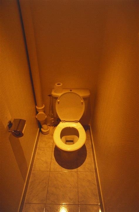 How To Get Rid Of Iron Stains From Well Water In The Toilet Homesteady House Cleaning Tips