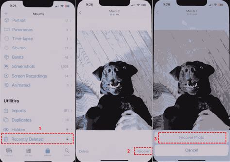 Recover Permanently Deleted Photos On Iphone Without Backup Easily