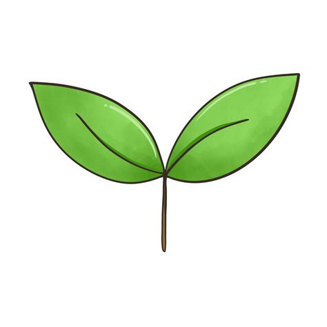Cute Green Leaves 26552166 Png