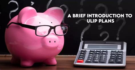 A Brief Introduction To Ulip Plans Iemlabs Blog
