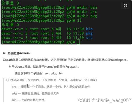 Linux Golang Csdn