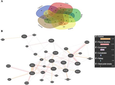 Venn Diagram And Genegene Interaction Network Based On A List Of Genes