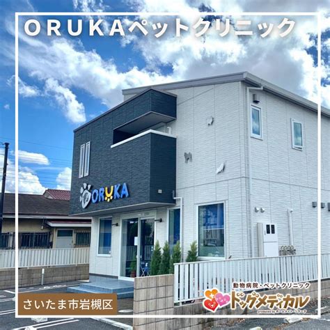 ドッグメディカル ホームメイト・リサーチ 日本全国の動物病院を検索するなら「ドッグメディカル」が便利！ サイトへのアクセスはプロフィール