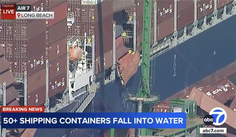 Msc Container Tracking How To Track Your Shipment In Real Time 2025 Guide Tradlinx Blogs