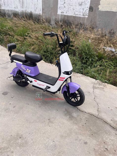 甜甜價 女款14吋電動車成人兩輪48v電動自行車350w超強電機 六重減震 超大高清儀表133ah大容量石墨烯電池 Led光學大燈 防爆真空