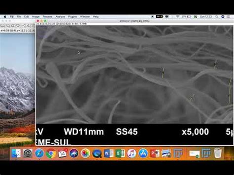 Tutorial Imagej Youtube