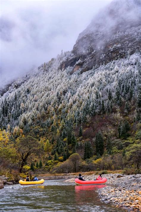 争创国家全域旅游示范区｜雪山蓄势待发，彩林已呼之欲出！旅游新闻新闻公告阿坝旅游