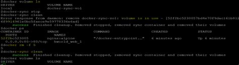 Docker Sync How Sync Command Works In Docker Examples