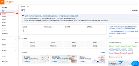 阿里云域名解析设置自定义dns服务器阿里云域名云解析dns免费版 Csdn博客