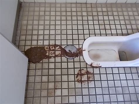 興坪だより 公衆トイレ大便が世の中