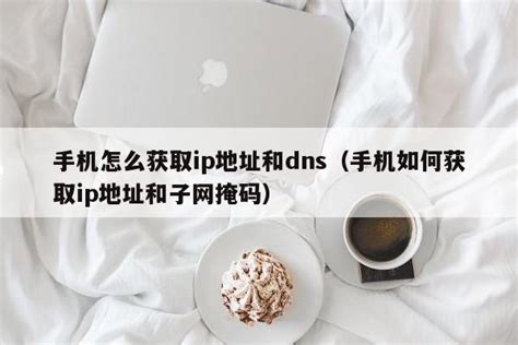 手机怎么获取ip地址和dns（手机如何获取ip地址和子网掩码） 杂七乱八 源码村资源网