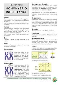 Monohybrid Inheritance Handout And Practice Questions By Science Sauce