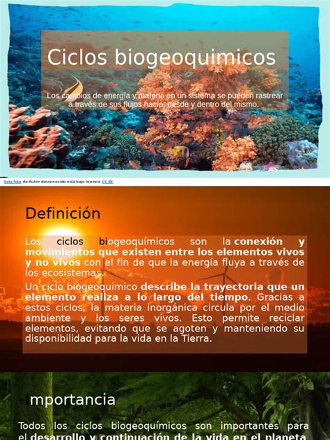Ciclos Biogeoquimicos Pdf