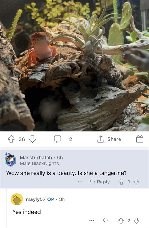 She Truly Is Beautiful Rrimjobsteve
