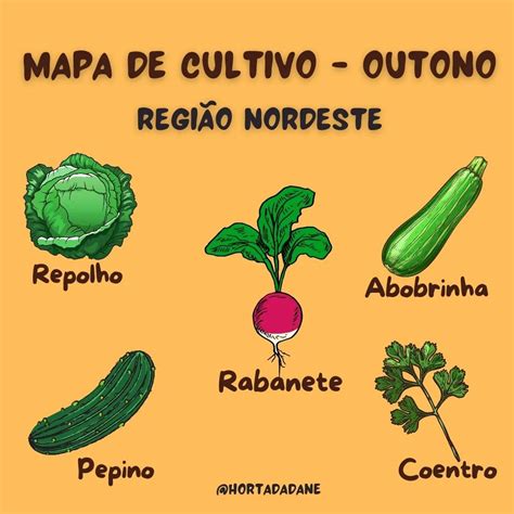 O Que Plantar No Outono Na Região Nordeste Plantas