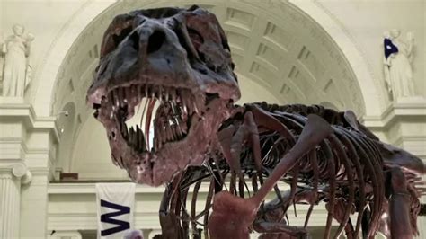 Billion T Rex Roamed Earth Study Finds