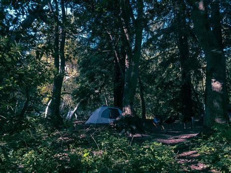 Best Camping In And Near Pfeiffer Big Sur State Park