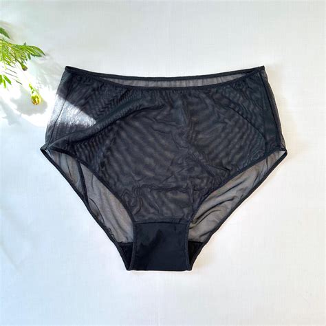 Plus Size Sheer Panty In Various Colors Etsy