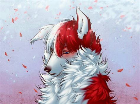 Wolf Todoroki Wiki My Hero Academia Amino