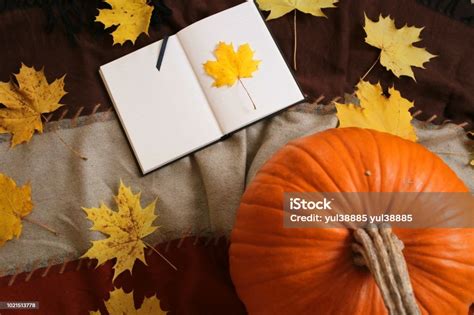 가 Mockupautumn 분위기입니다 빈 노트북 큰 오렌지 호박 오크 및 단풍나무 잎 갈색 줄무늬 Scarfflat에 누워