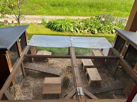 Meerschweinchenstall Mit Auslaufgehege Kaufen Auf Ricardo