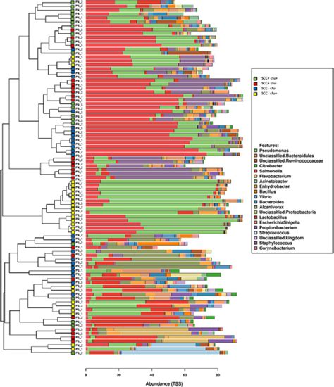 Bovine Milk Microbiota Evaluation Of Different Dna Extraction Protocols For Challenging Samples