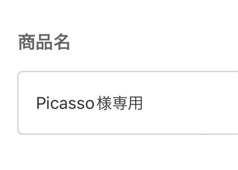 Picasso様専用 その他