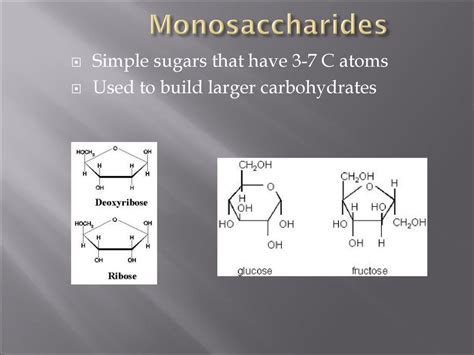 Proteins Lipids Carbohydrates More Ppt Download
