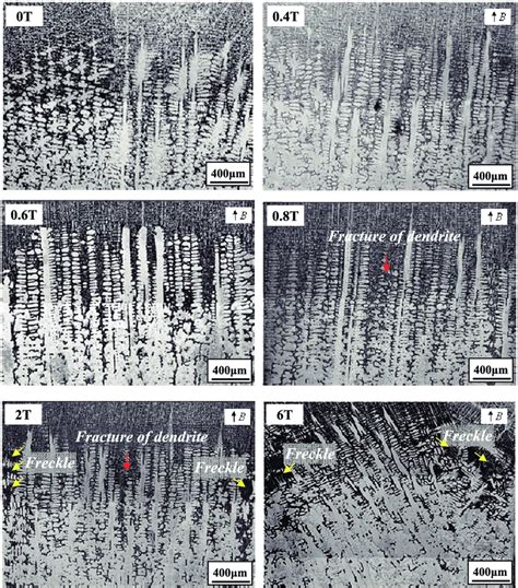 Longitudinal Microstructures Near The Liquidsolid Interface