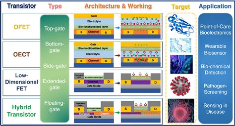 Figure 1 From Highly Sensitive Transistor Sensor For Biochemical